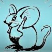 History – The Squeaker